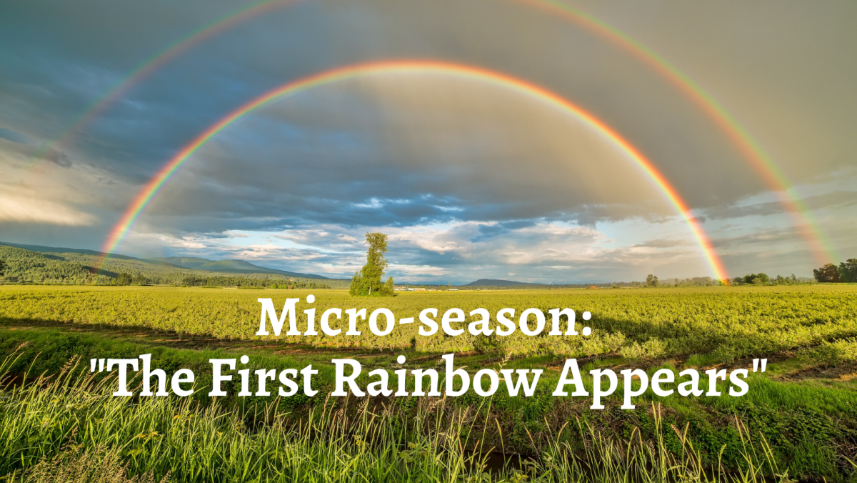 Micro-season: “The First Rainbow Appears” – SeasonWords.com