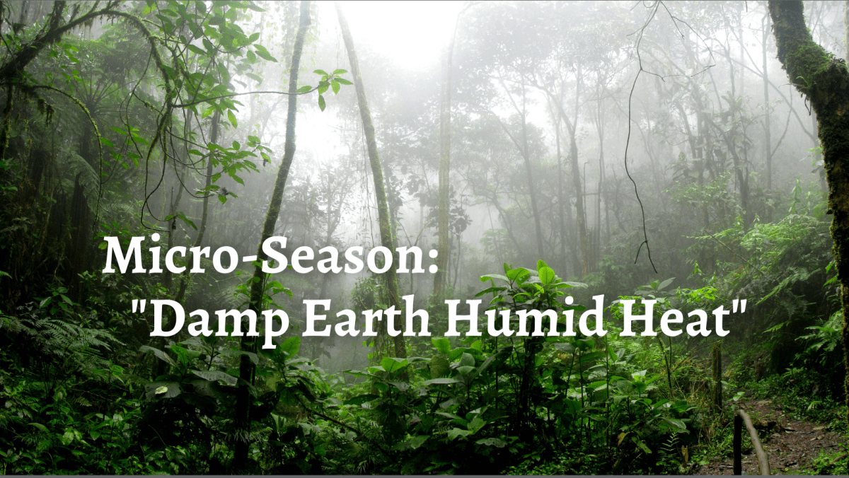 Micro-Season: “Damp Earth Humid Heat” (2023) – SeasonWords.com