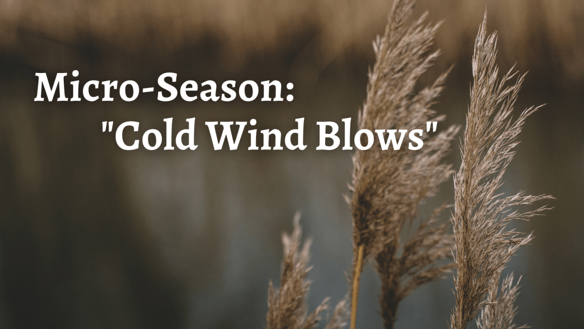 Micro-Season: “Cold Wind Blows” – SeasonWords.com