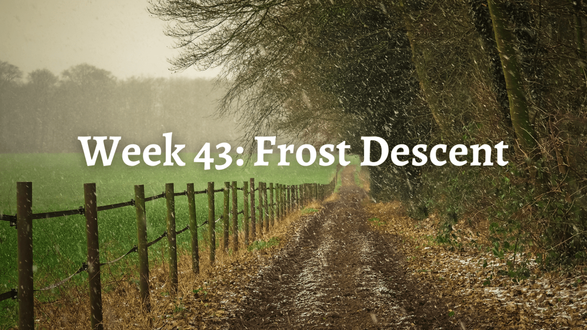 Week 43 – Frost Descent – SeasonWords.com