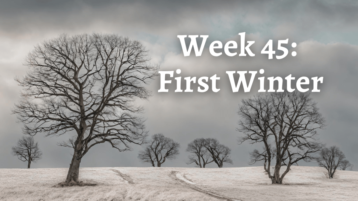 Week 45 – First Winter – SeasonWords.com